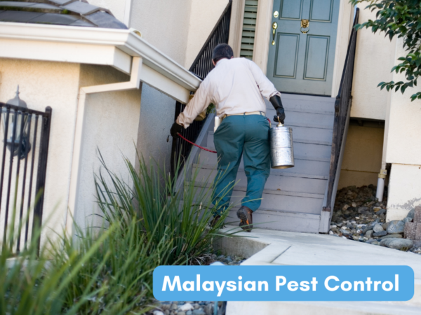 MALAYSIAN PEST CONTROL - Guarding Homes, Offices and Buildings Since 1967