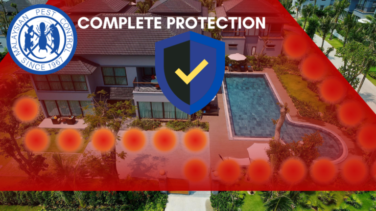 Comprehensive Termite Baiting Solutions | Malaysian Pest Control